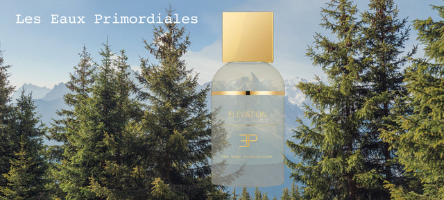 Parfumerie Olara - Depuis 1999